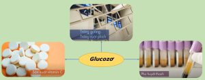 Glucozo là gì? Tính chất hóa học & Cách điều chế glucozơ